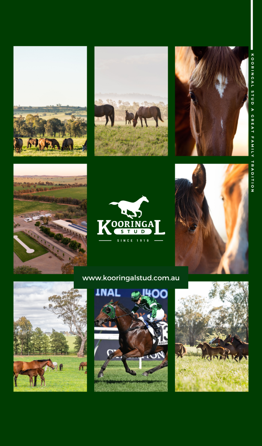 Murrumbidgee Turf Club | MTC Wagga