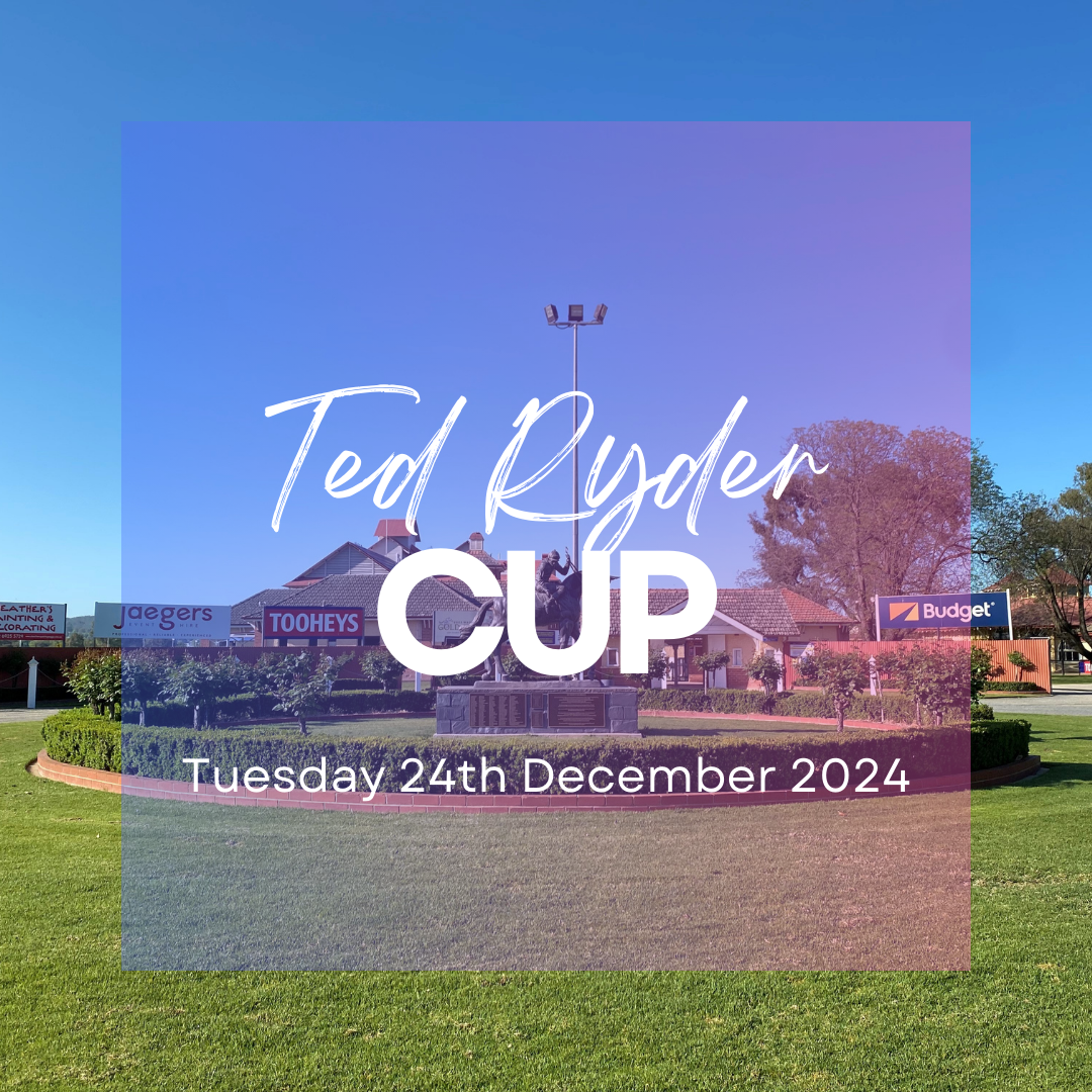 Ted Ryder Cup / Xmas Eve Races – Murrumbidgee Turf Club | MTC Wagga