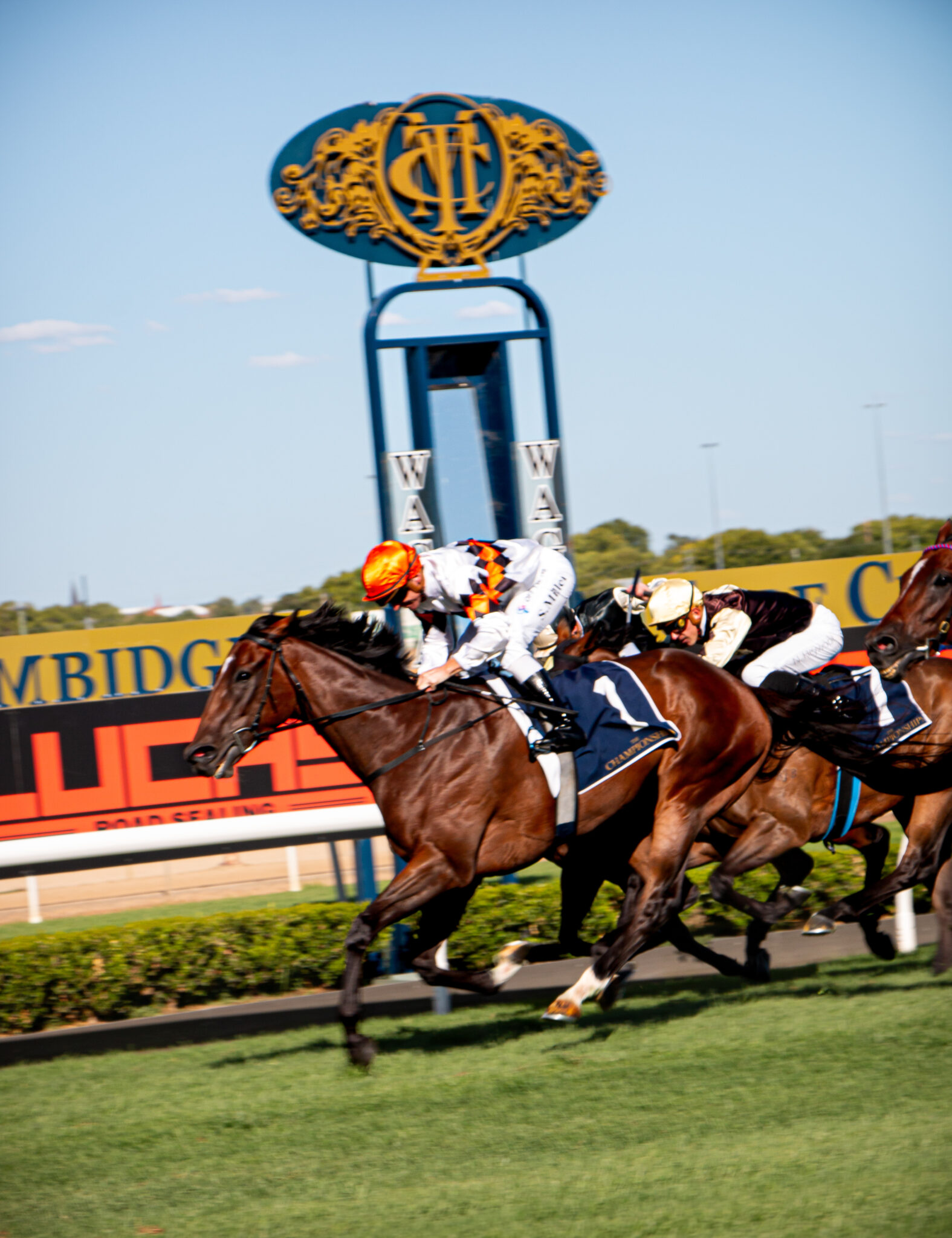 Racing Calendar - Murrumbidgee Turf Club | MTC Wagga