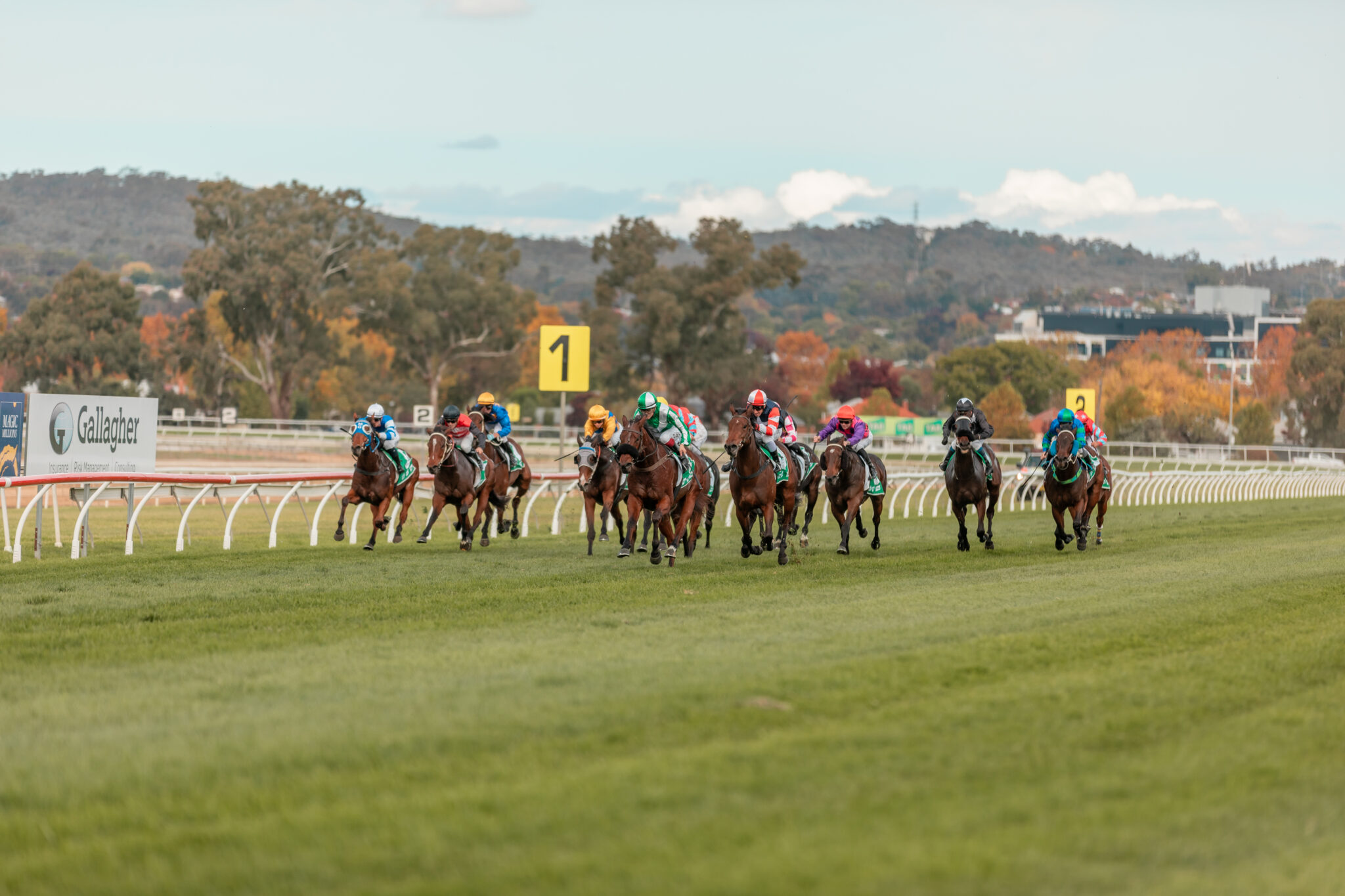 Information & Tickets - Murrumbidgee Turf Club | MTC Wagga