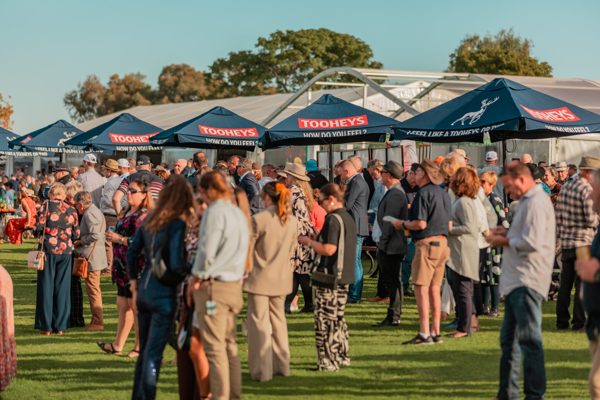 Wagga Gold Cup Day – Murrumbidgee Turf Club | MTC Wagga